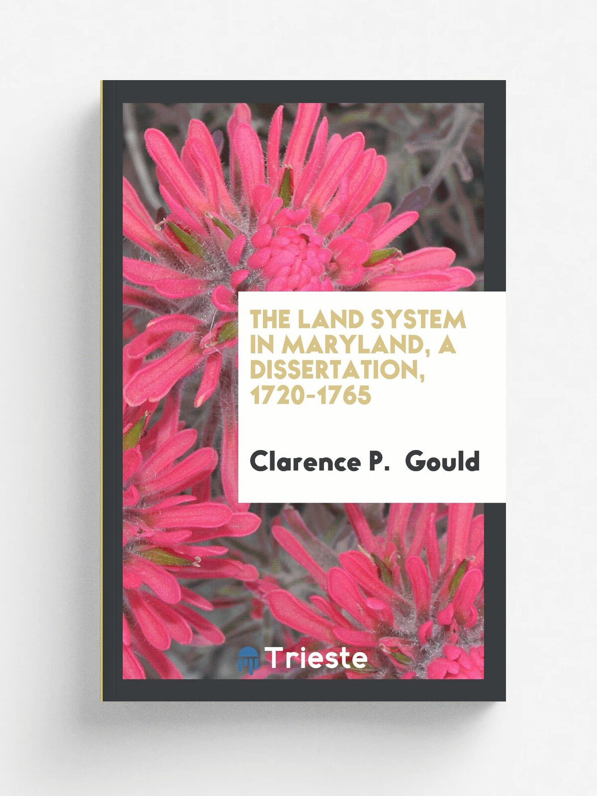 The Land System in Maryland, a Dissertation, 1720-1765