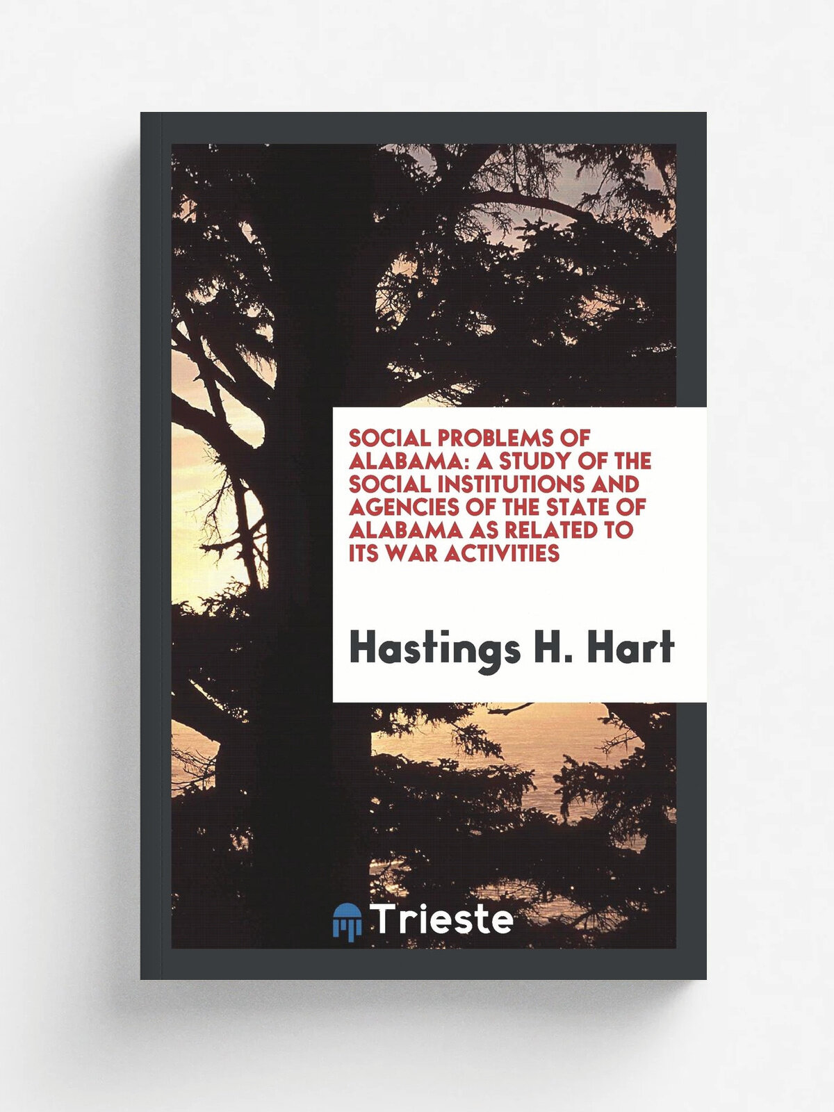 Social Problems of Alabama. A Study of the Social Institutions and Agencies .