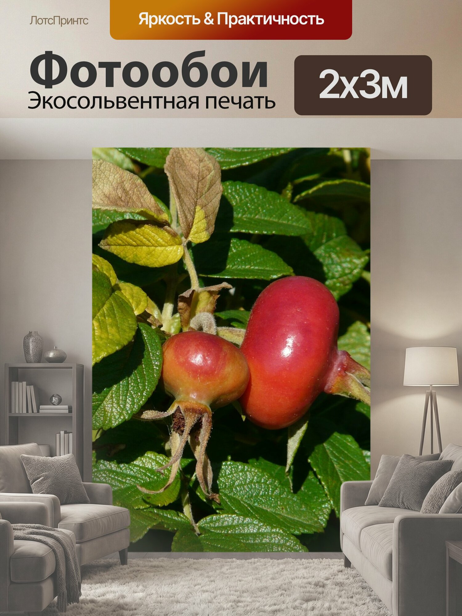 Фотообои "Шиповника, картофельная роза, роза ругоса" 200x300 см. экосольвентная печать