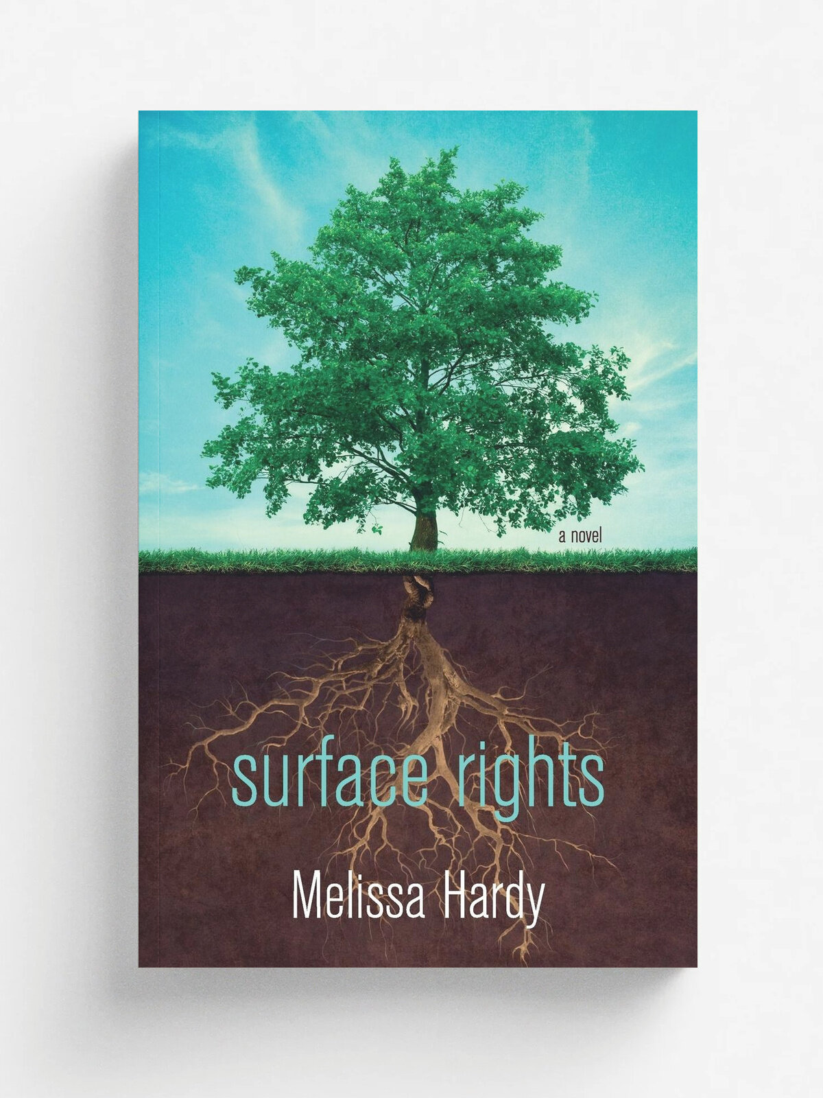 Surface Rights
