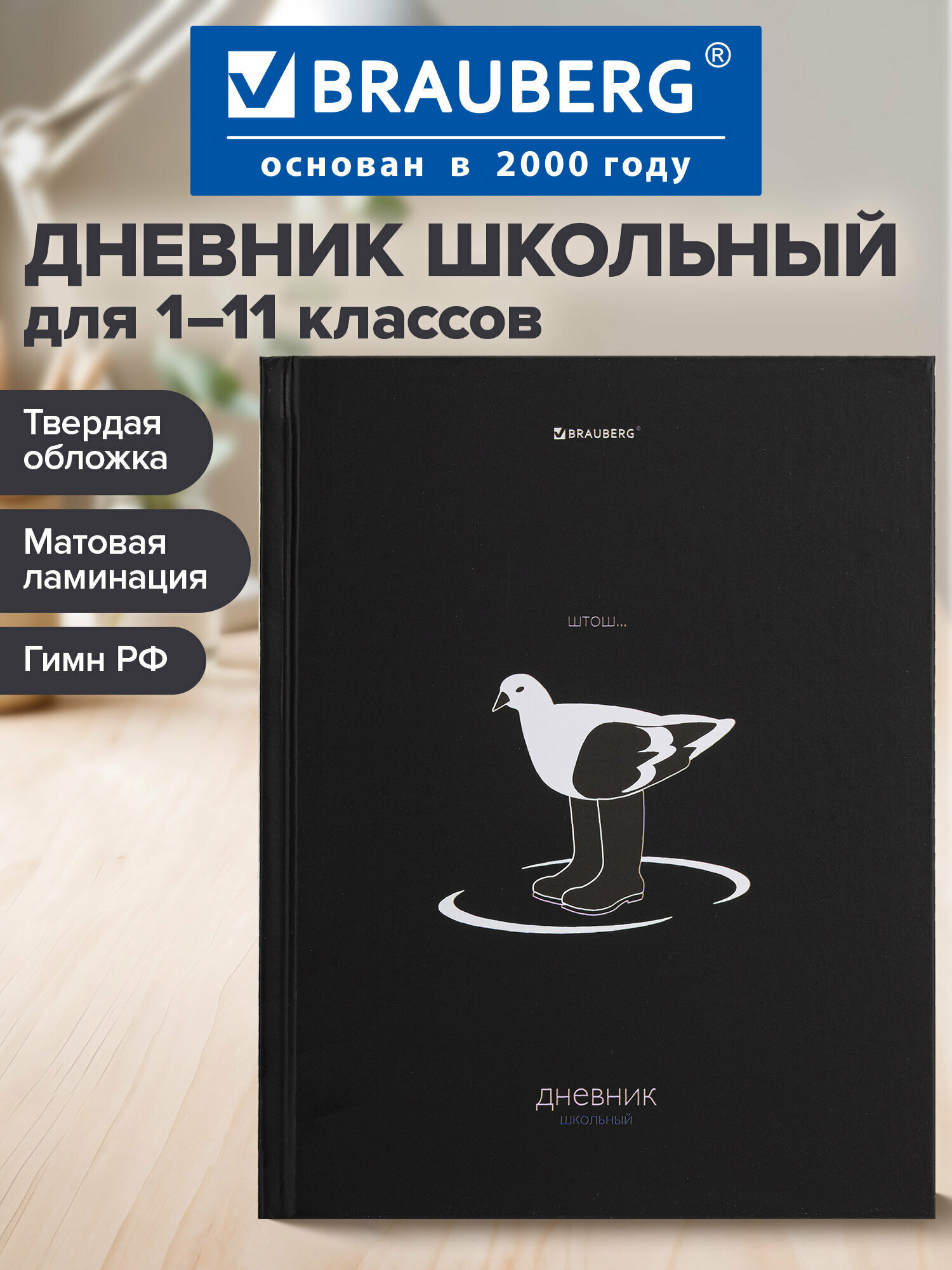 Дневник школьный 1-11 класс, канцелярия в школу, 40 листов, твердая обложка, матовая ламинация, Brauberg Штош, 107203