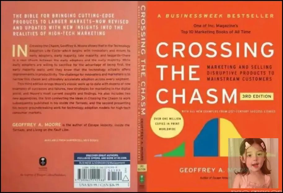Crossing the Chasm 3rd Edition by Geoffrey A. Moore Business Marketing Book