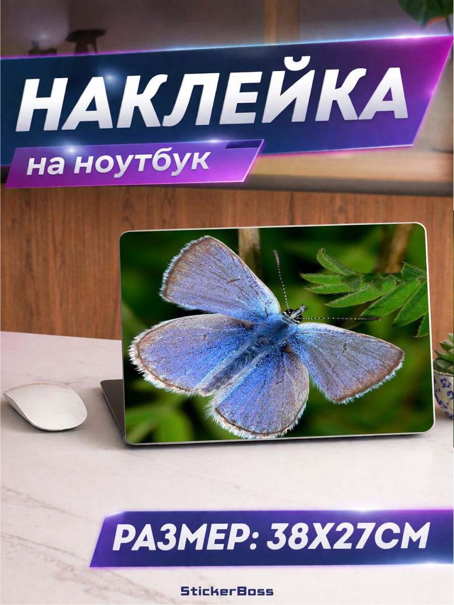 Наклейка на ноутбук Бабочка 38х27 см