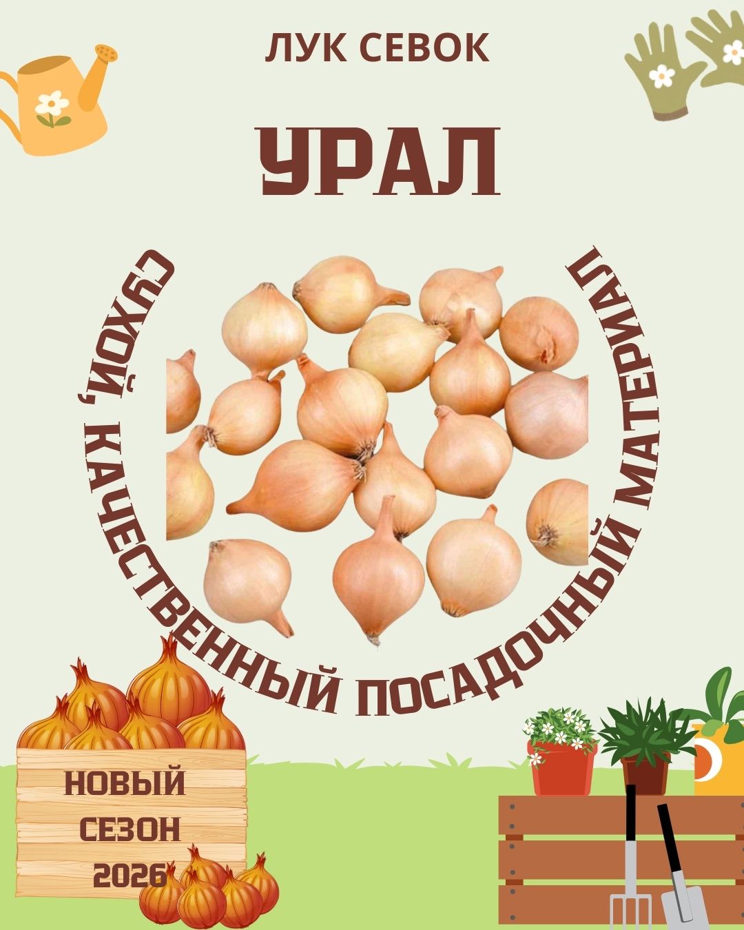 Лук севок на посадку Урал, 0.5 кг
