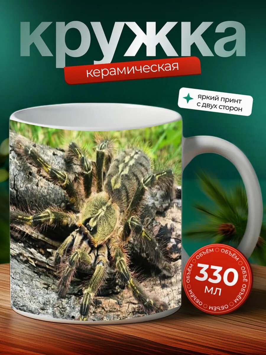 Кружка Латродектус паук паукообразное,