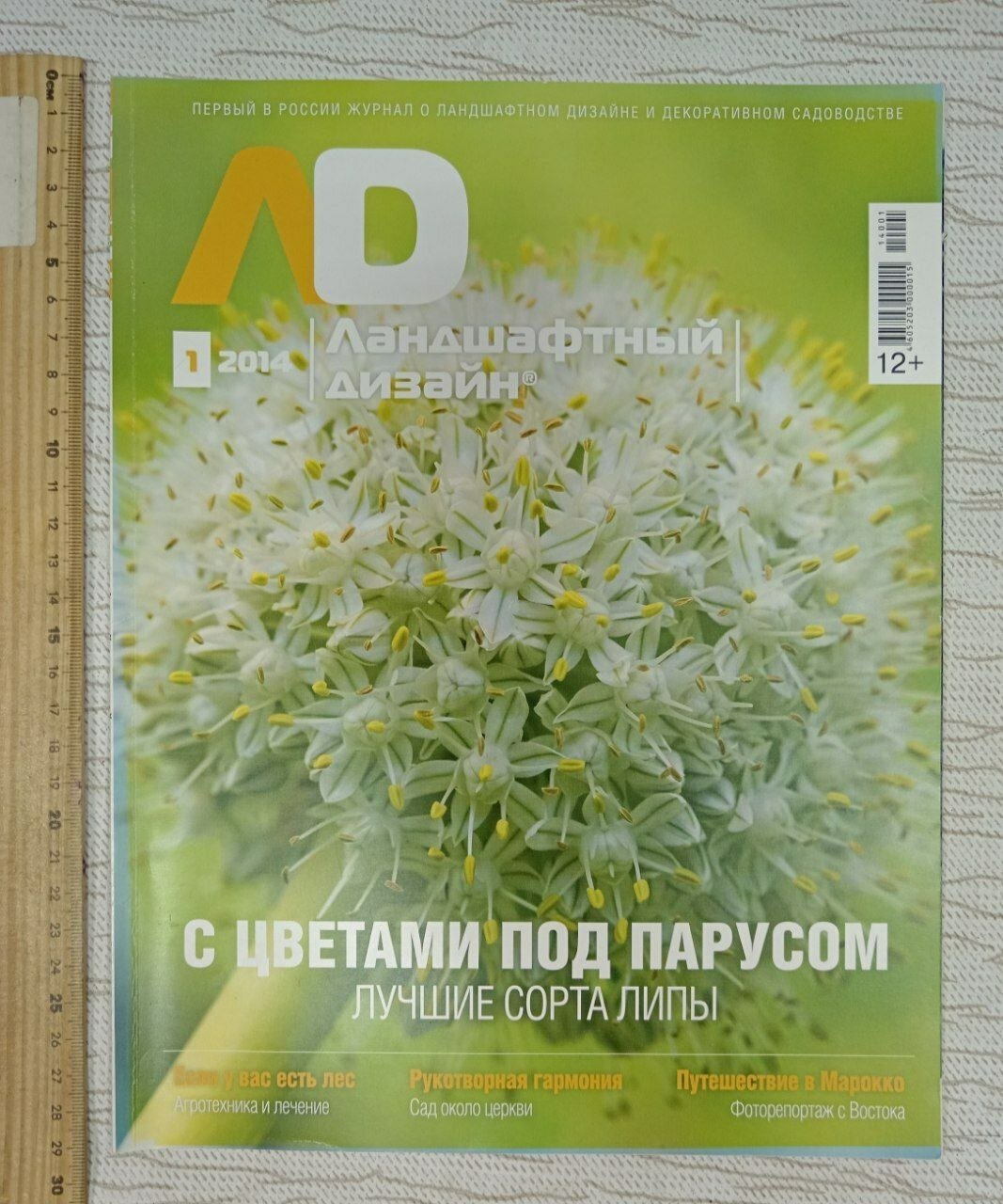Журнал Ландшафтный дизайн 2014 №1