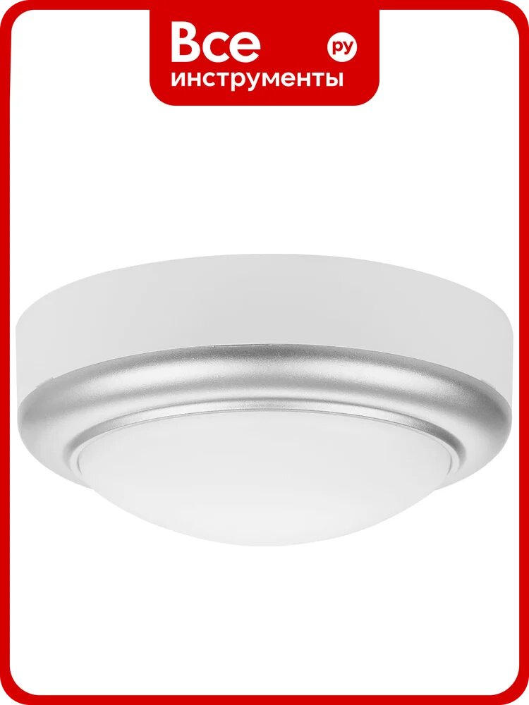 Светильник накладной LED ДПО TDM ELECTRIC Антарес 8Вт 6500К круг 140x58 мм мат. серебро IP54 TDM SQ0354-0022