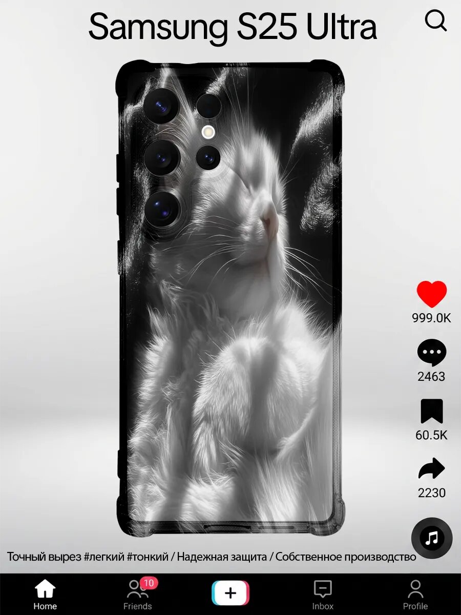 Чехол на iPhone 13 белый котенок в лучах света