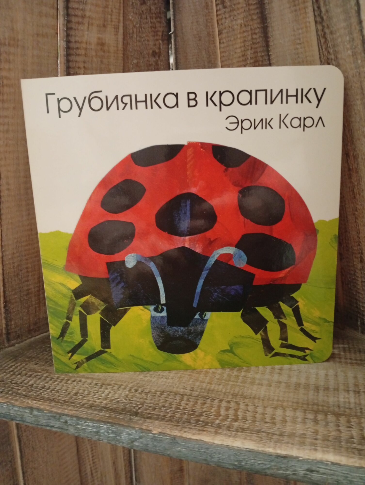 Грубиянка в крапинку