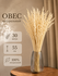 Овес сухоцветы для декора