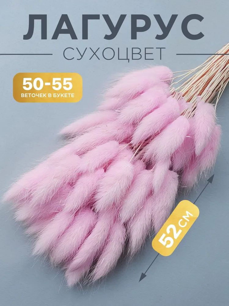 Сухоцветы Лагурус 55 см 55 шт светло-розовый