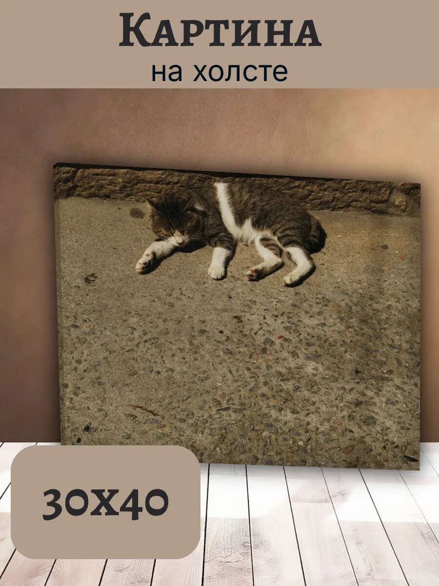 Картина Кот Кошка Cat 30x40 спящая серая полосатая