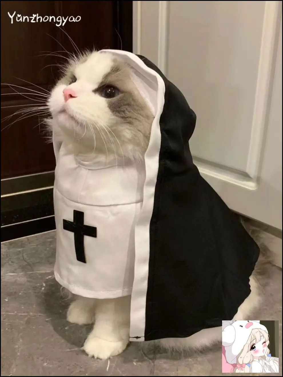 Yunzhongyao монахийский наряд, Смешная одежда для собак и кошек, COSPLAY, Хэллоуин