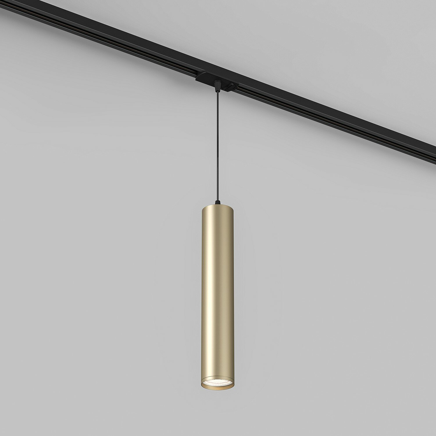Светильник на штанге Denkirs TUBE DK6210-BG
