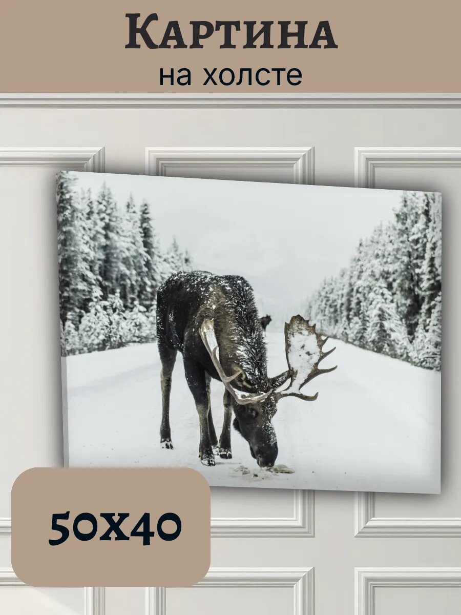 Картина Финляндия Finland 40x50 лось в зимнем лесу
