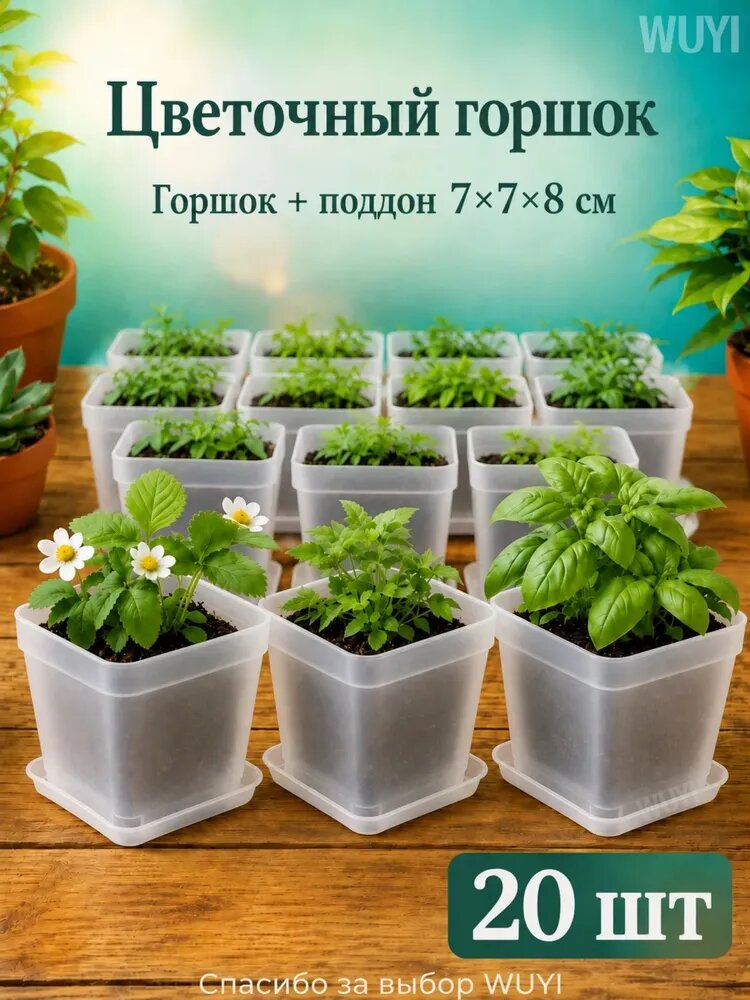 Стильные горшочки Вазон 0.25 л, 8 см, 20 шт, цвет прозрачный