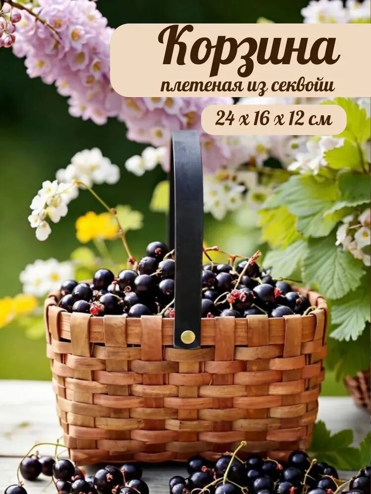 Декоративная плетеная корзина из секвойи с ручкой 24х16хH12/27 см