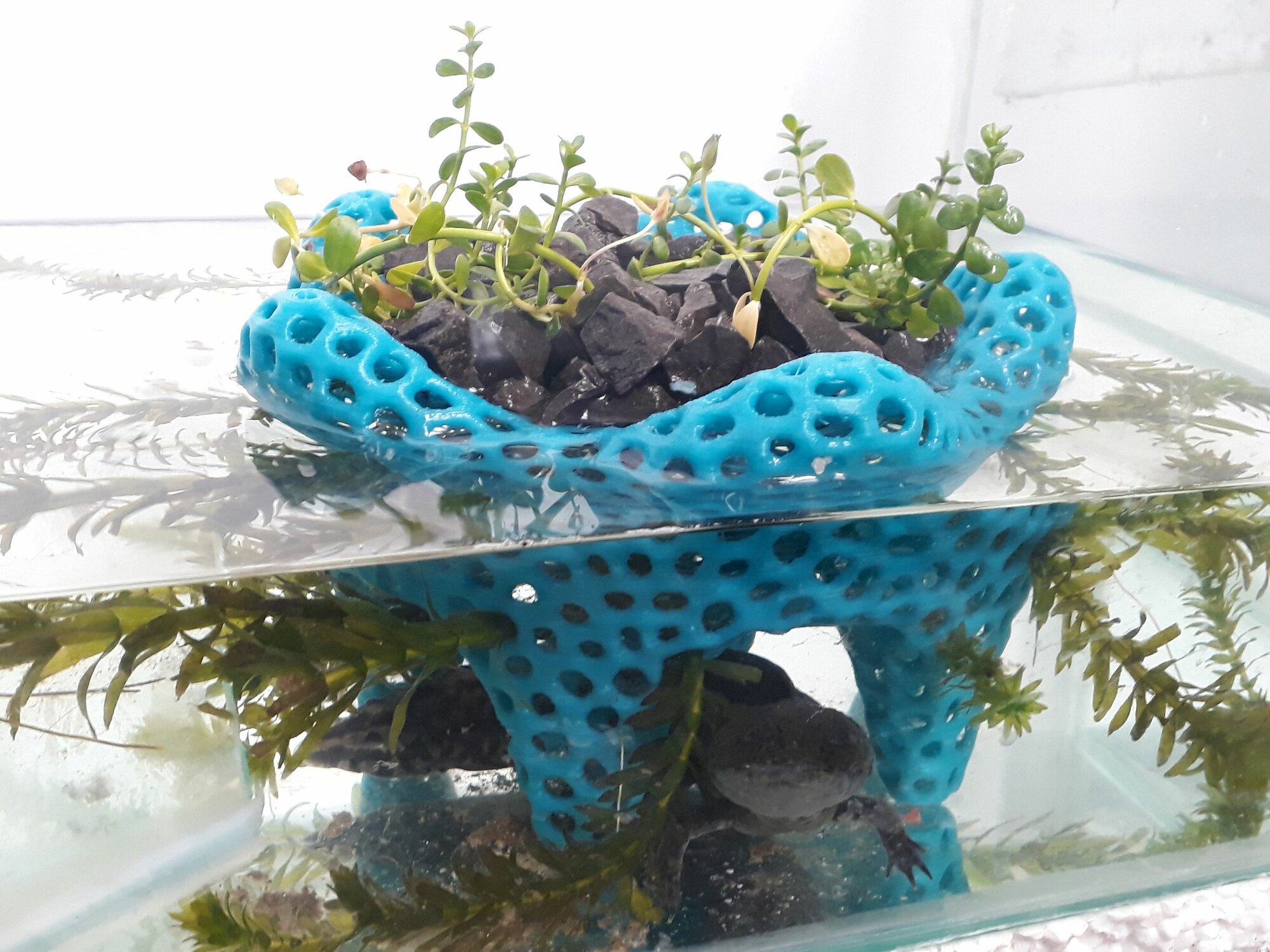 Кашпо для растений дизайнерская, 3D-печать под заказ, арт. PZ-PLANT-TV-4540267