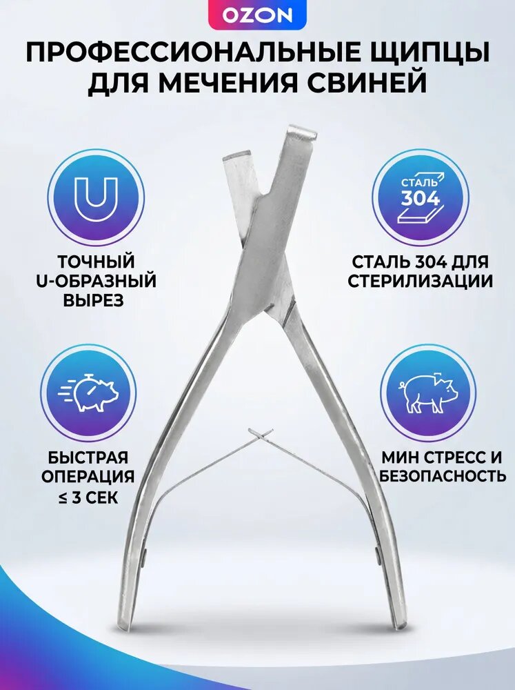 Шарф