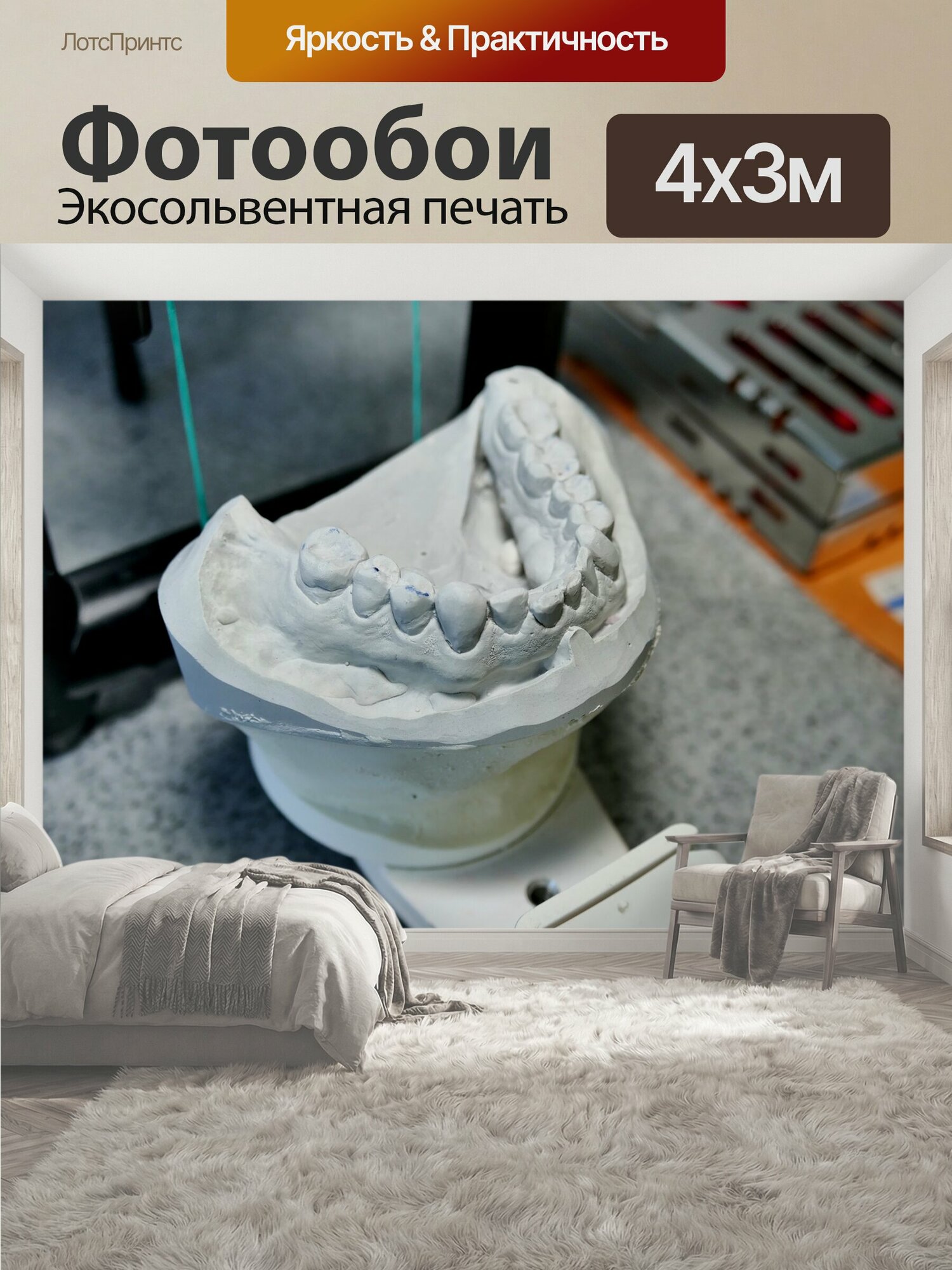 Фотообои "Модель зуба, челюсть, зубы" 400x300 см. экосольвентная печать
