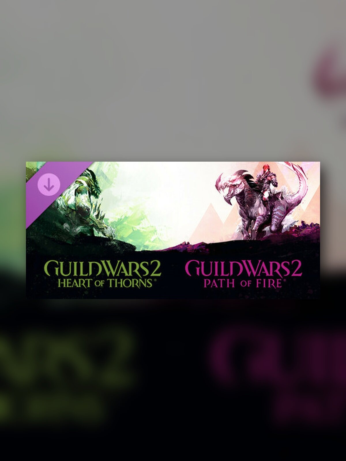 Guild Wars 2® Heart of Thorns® and Path of Fire™ Expansions все страны