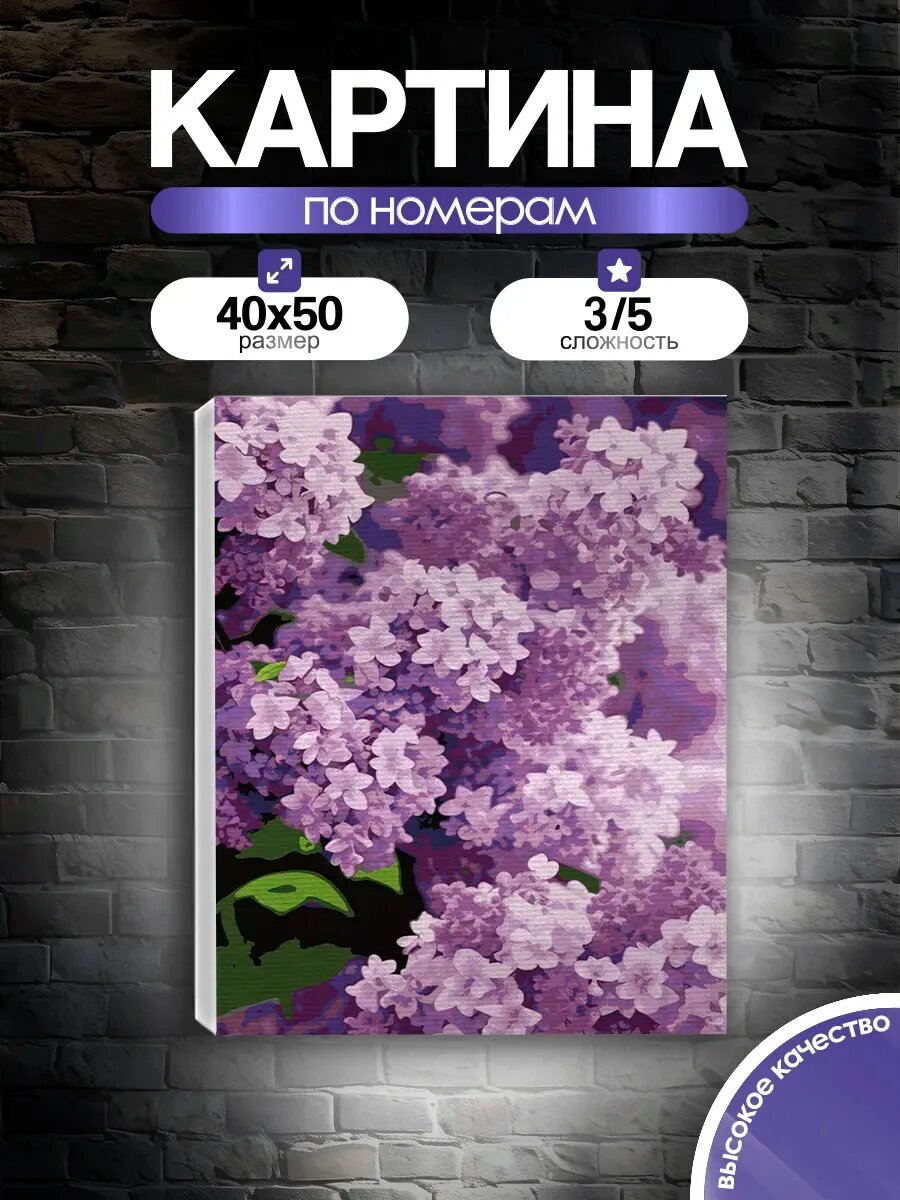 Картина по номерам Букет сирени