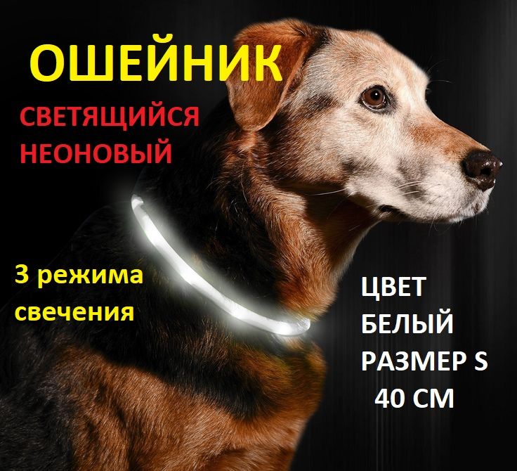 Светящийся ошейник для собак и кошек, белый. Размер S 40 см