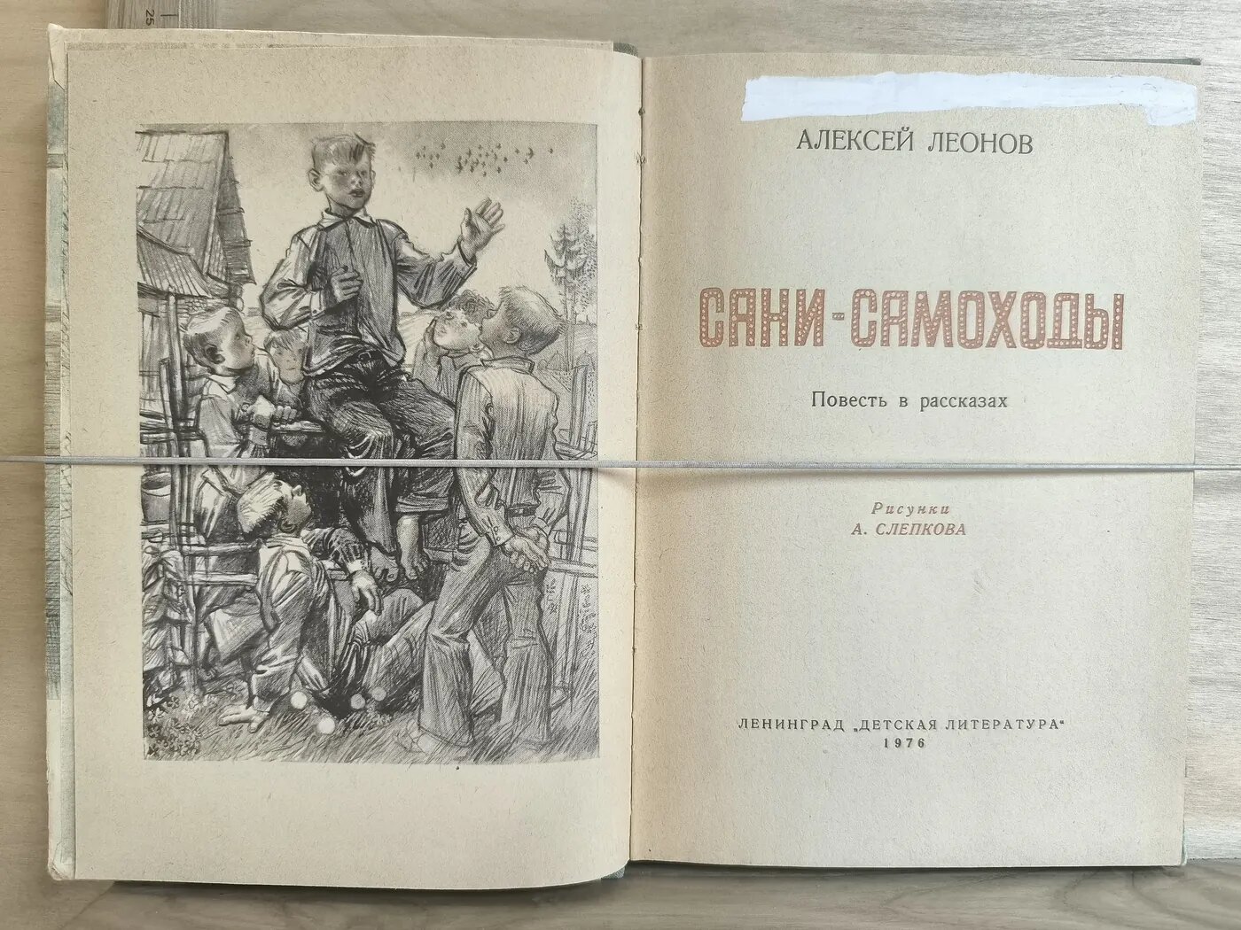 Сани-самоходы — фото 1