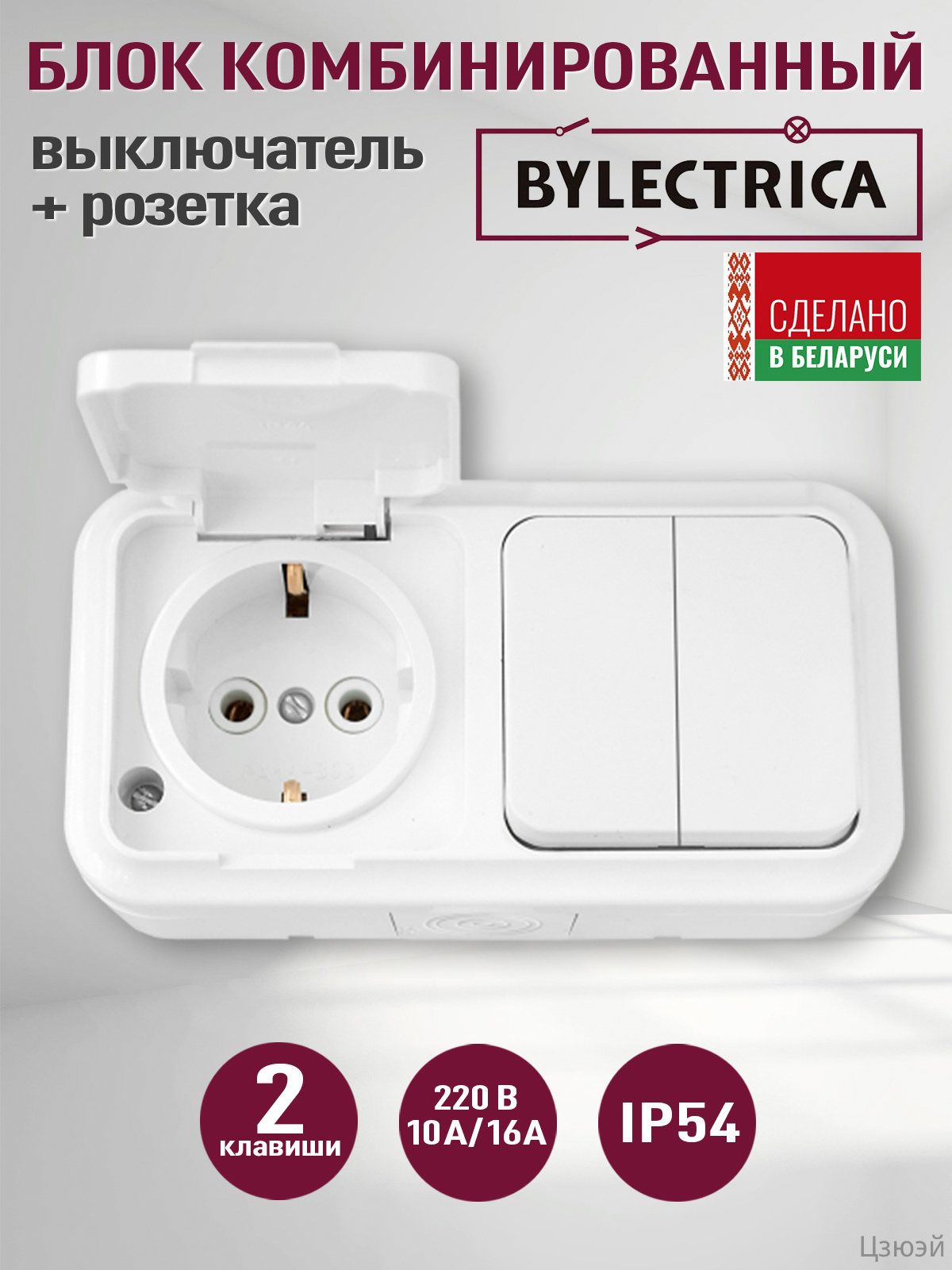 Блок розетка с двухклавишным выключателем, IP54, уличная влагозащищенная, накладная с заземлением, наружная с крышкой