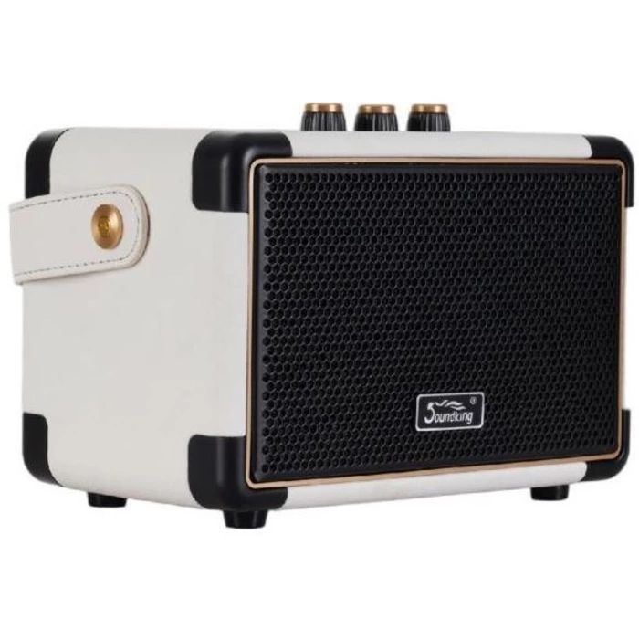 Soundking K65 Комбоусилитель портативный