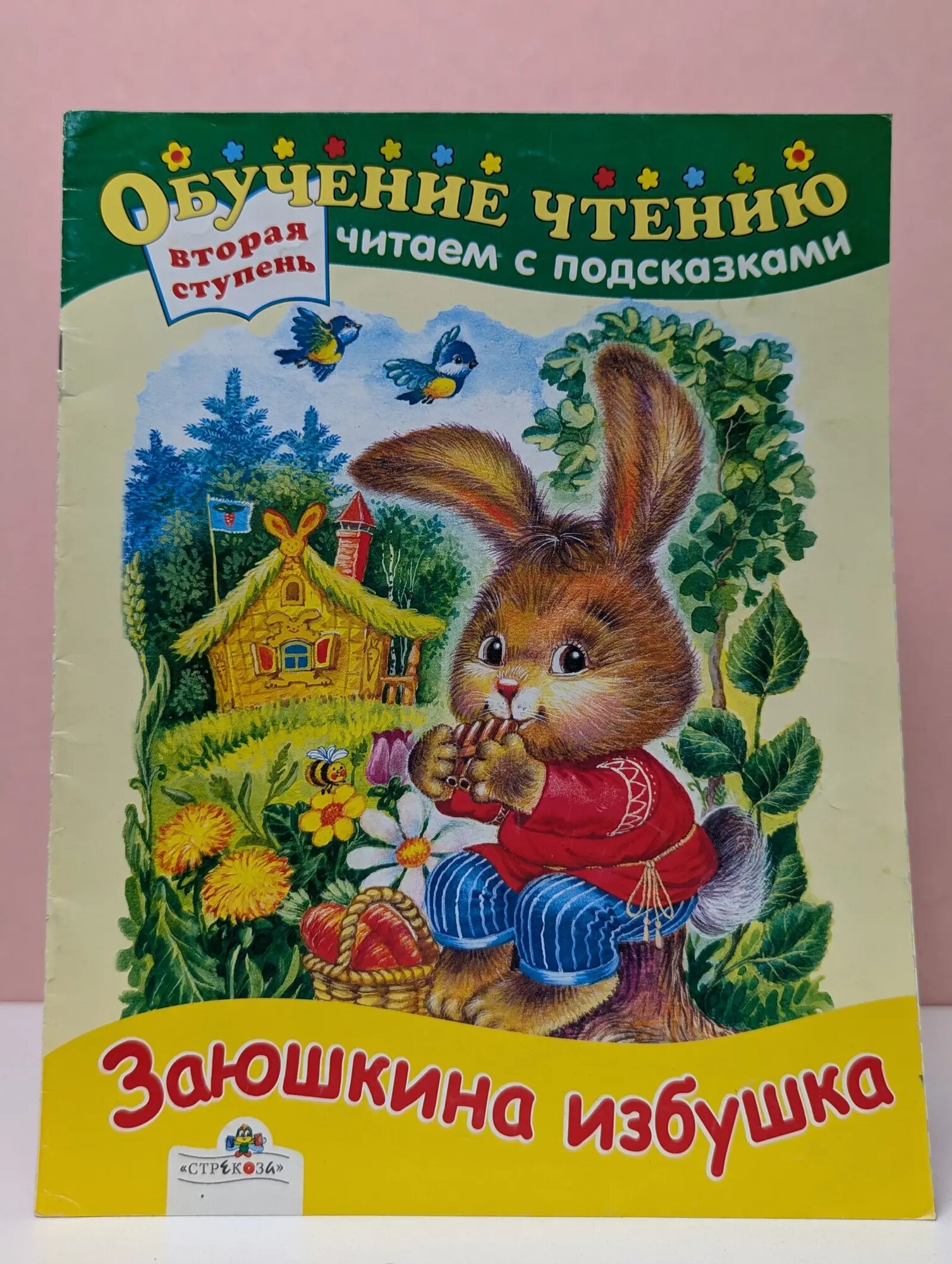 Обучение чтению. 2 ступень. Заюшкина избушка 2008