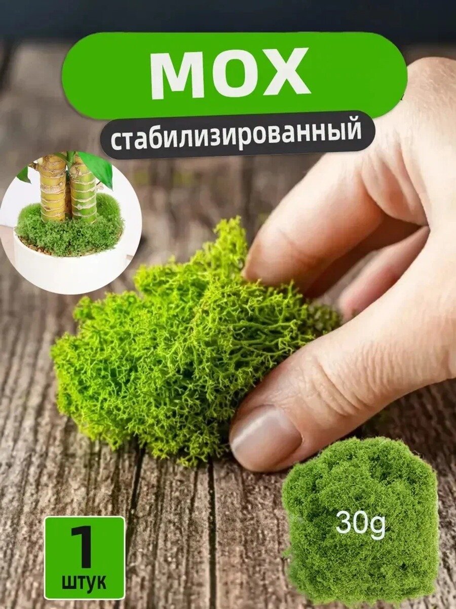 Стабилизированный мох 30g, 1 шт — декоративный мох для творчества