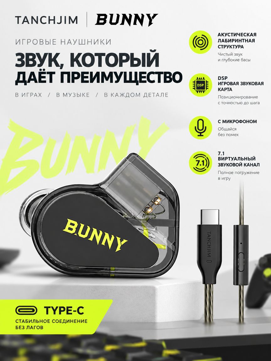 Игровые наушники-вкладыши TANCHJIM BUNNY G с микрофоном Type-C, DSP, наушники для музыки, объемный звук 3D