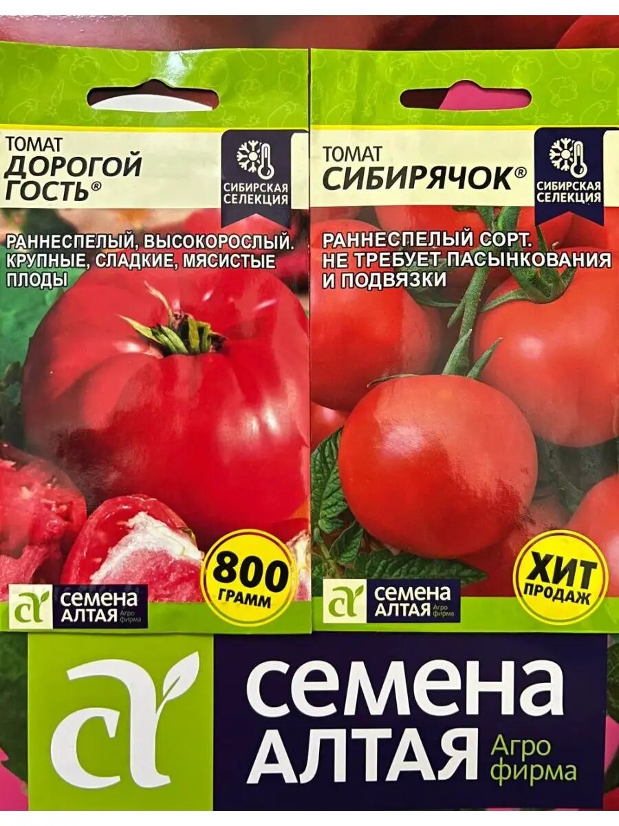 Томаты Дорогой гость и Сибирячок