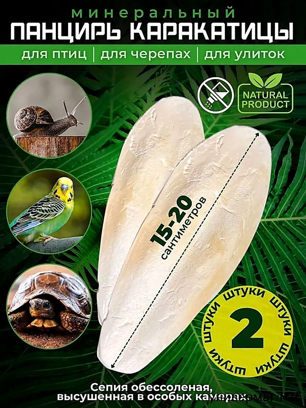 Сепия 2 шт- Панцирь каракатицы, 15-20см, Кормушка для птиц, грызунов, Натуральный камень, Белое