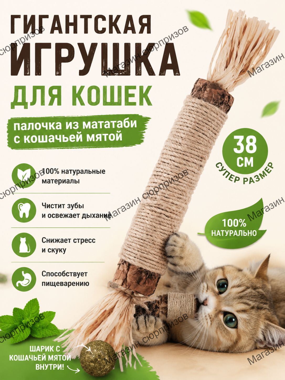 Натуральные жевательные палочки для кошек, игрушки для точения зубов, безопасные развлекательные зоотовары для домашних питомцев