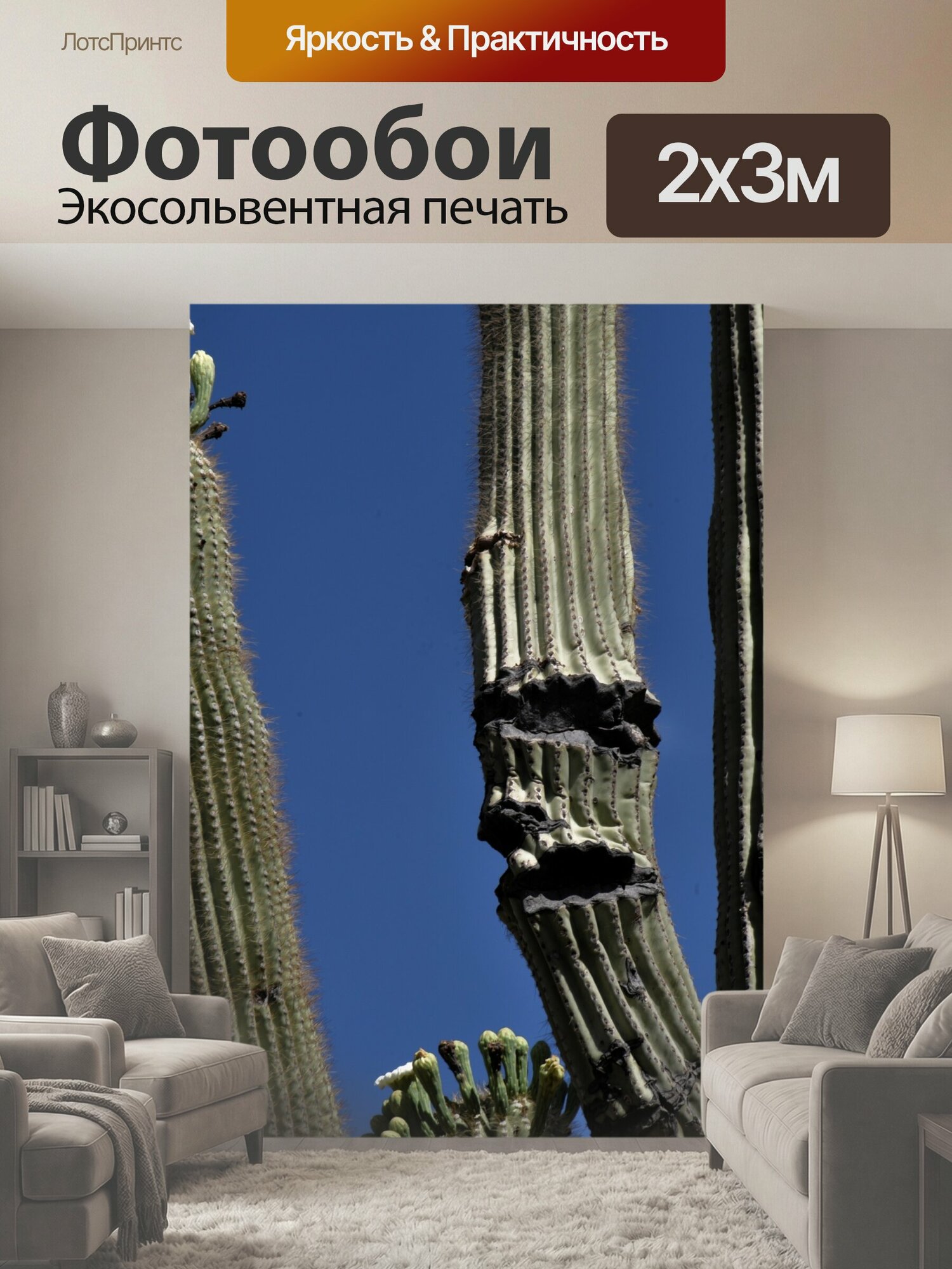 Фотообои "Saguaro Face Сагуаро кактус в пустыне Аризоны сагуаро кактус лицо юмористический вырез естественный настоящий пустыня растение старое" 200x300 см. экосольвентная печать