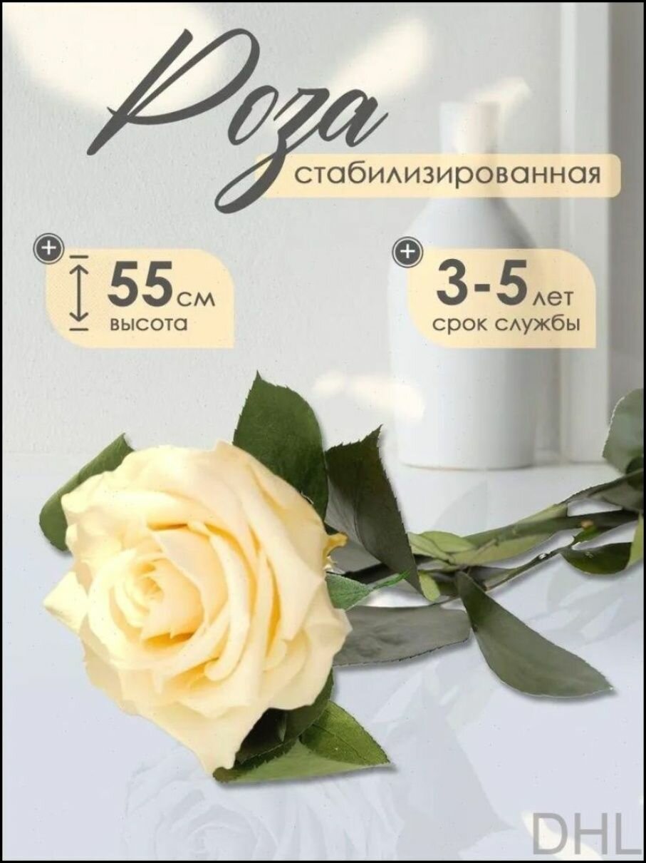 Бестселлер, стабилизированные цветы