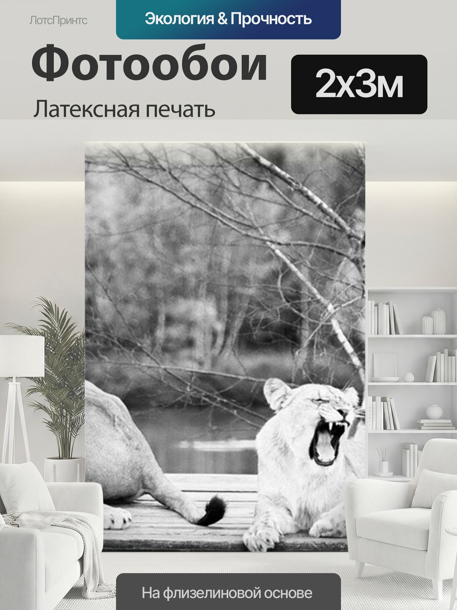 Фотообои моющиеся ударопрочные "Семья, львы, черное и белое" 200x300 см. латексная печать