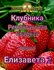 Семена ,100шт для посева