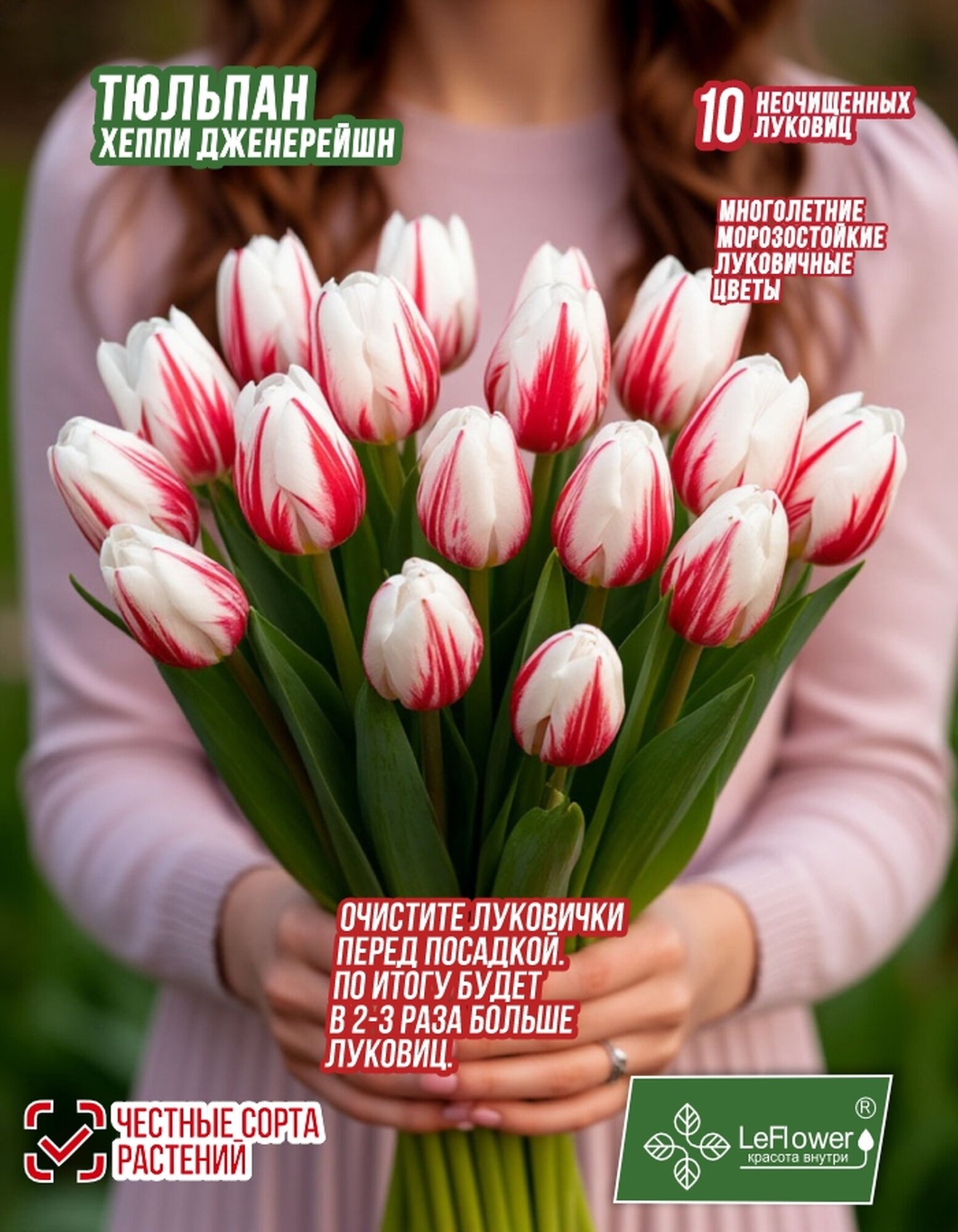 Тюльпан LeFlower "Хаппи Дженерейшн", многолетник, упаковка 10 штук, 1 упаковка