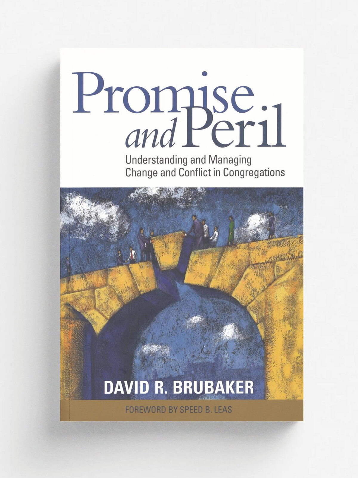 Promise And Peril. Understandipb | David Brubaker | Rowman & Littlefield Publishers, Inc, 2009 | Английский язык
