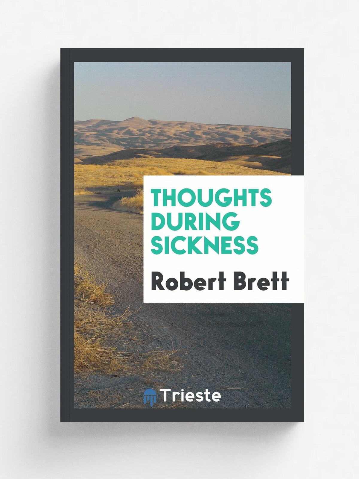 Thoughts During Sickness