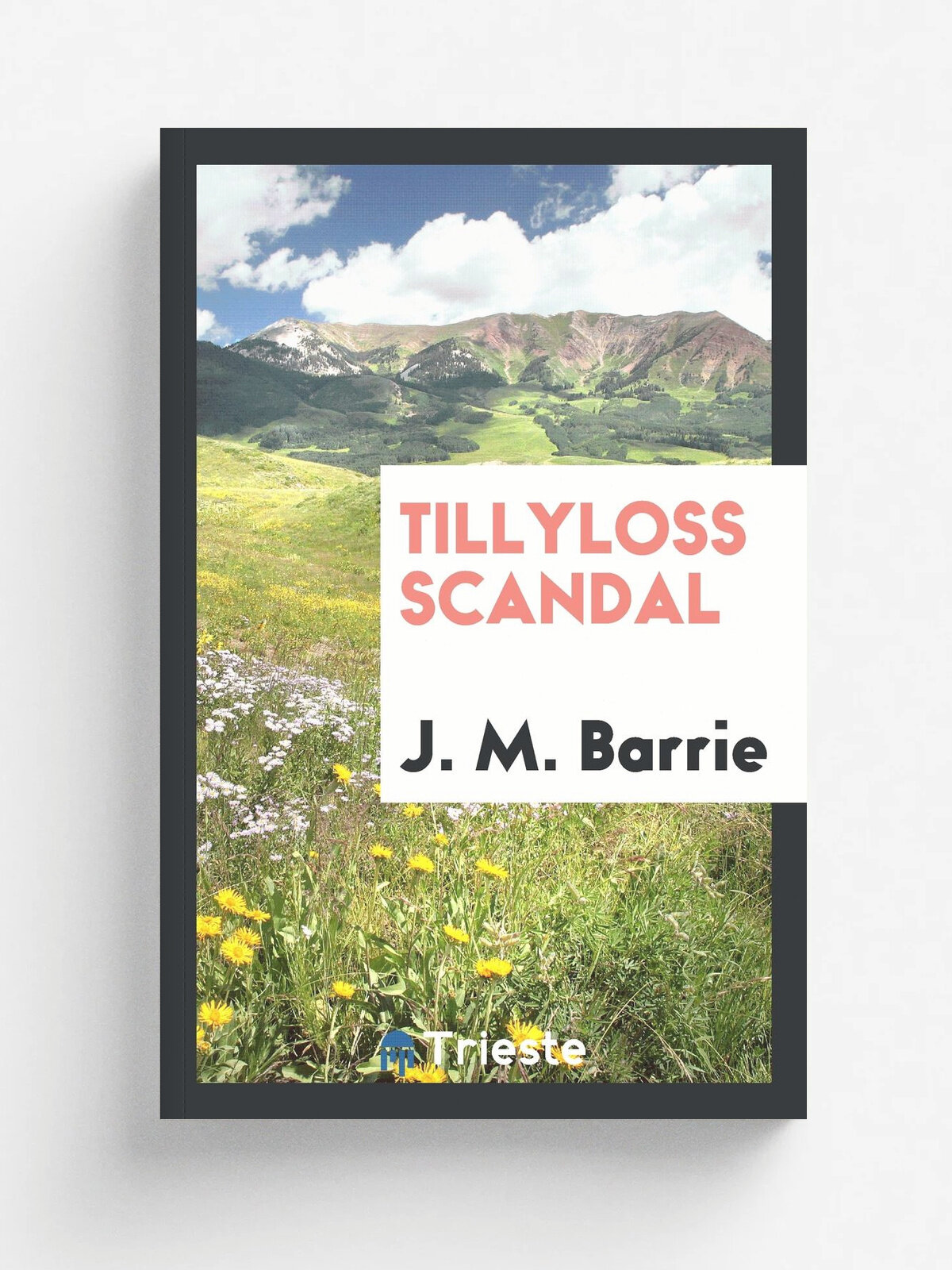 Tillyloss scandal