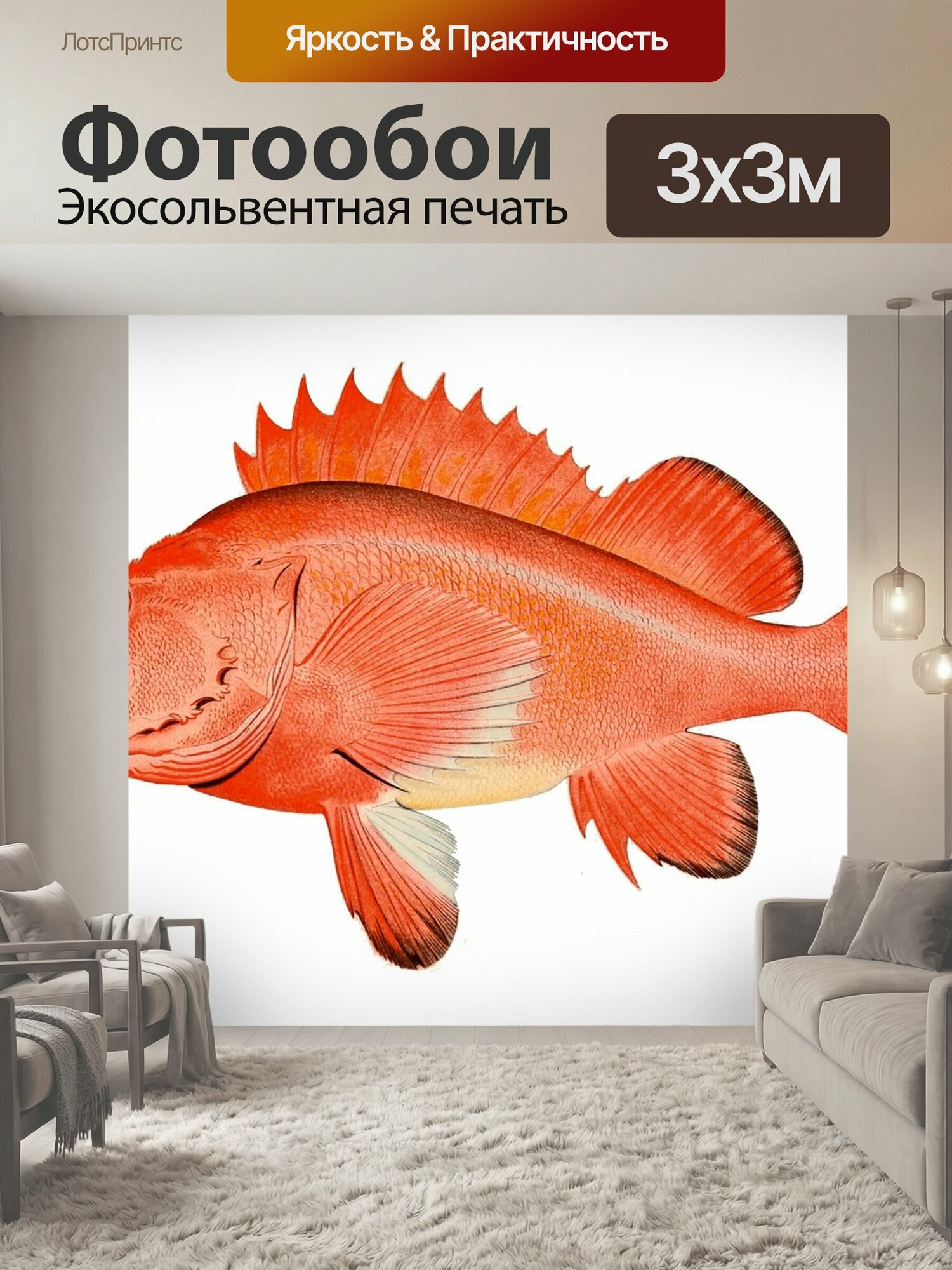 Фотообои "Окунь, морской окунь, sebastes маринус" 300x300 см. экосольвентная печать