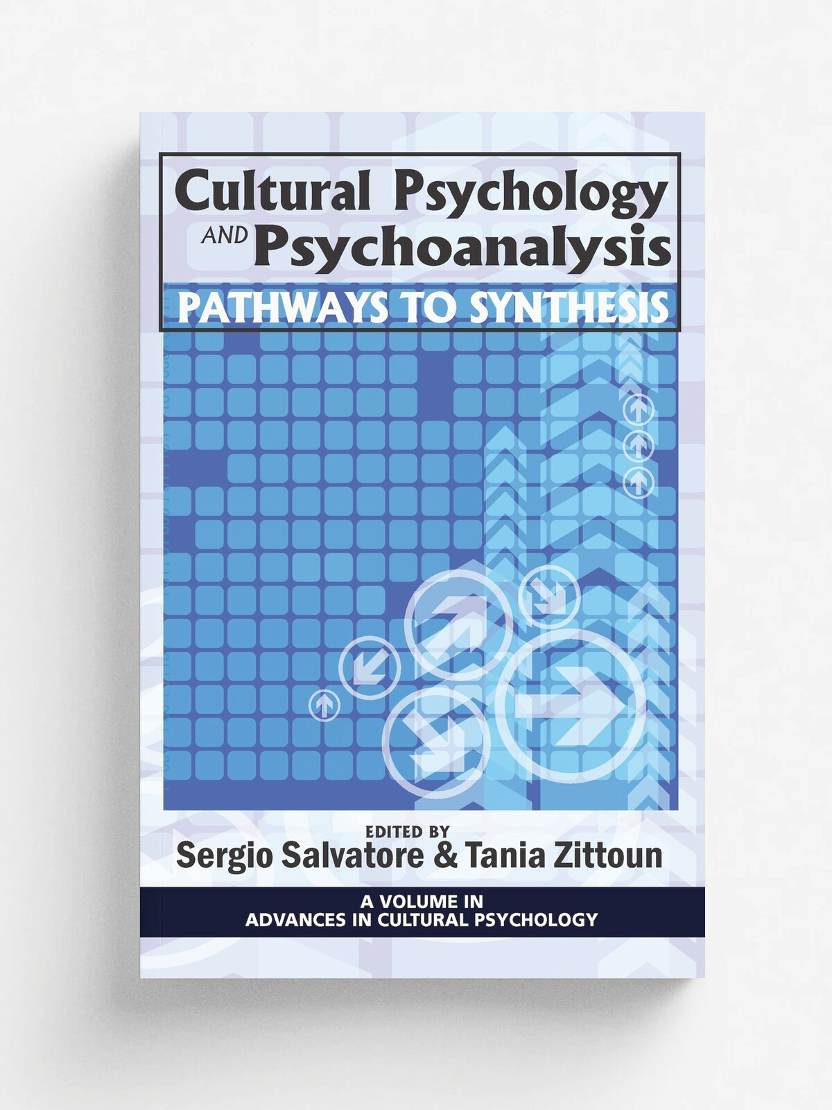 Cultural Psychology and Psychoanalysis. Pathways to Synthesis