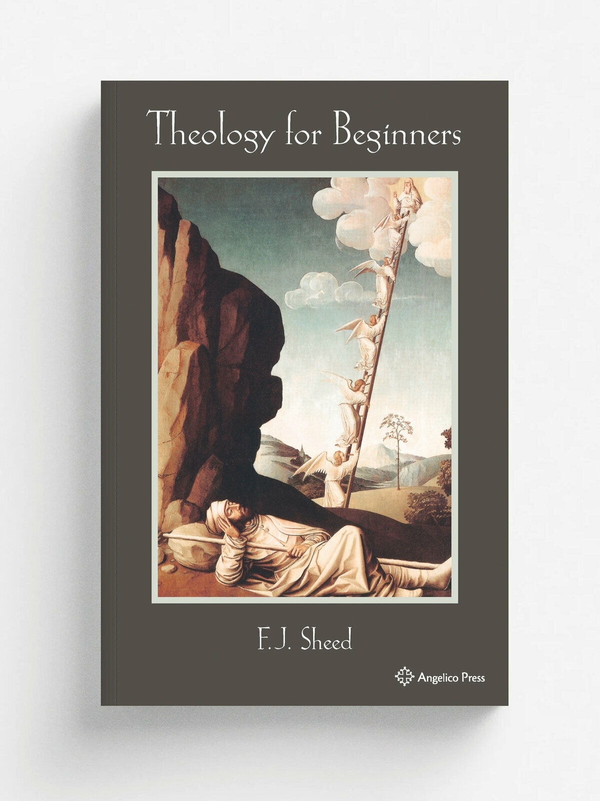 Theology for Beginners