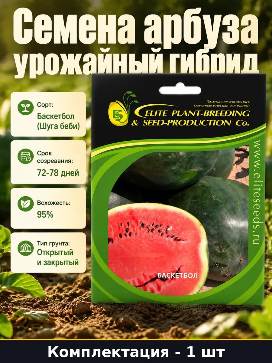 Очень сладкий арбуз для дачи, устойчив к засухе, 20 семян