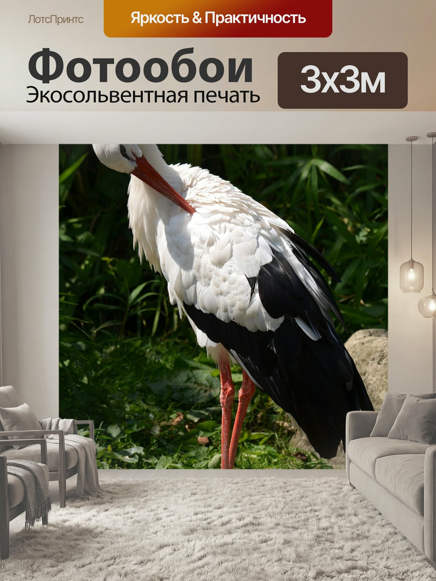 Фотообои "Аист, птица, белый аист" 300x300 см. экосольвентная печать