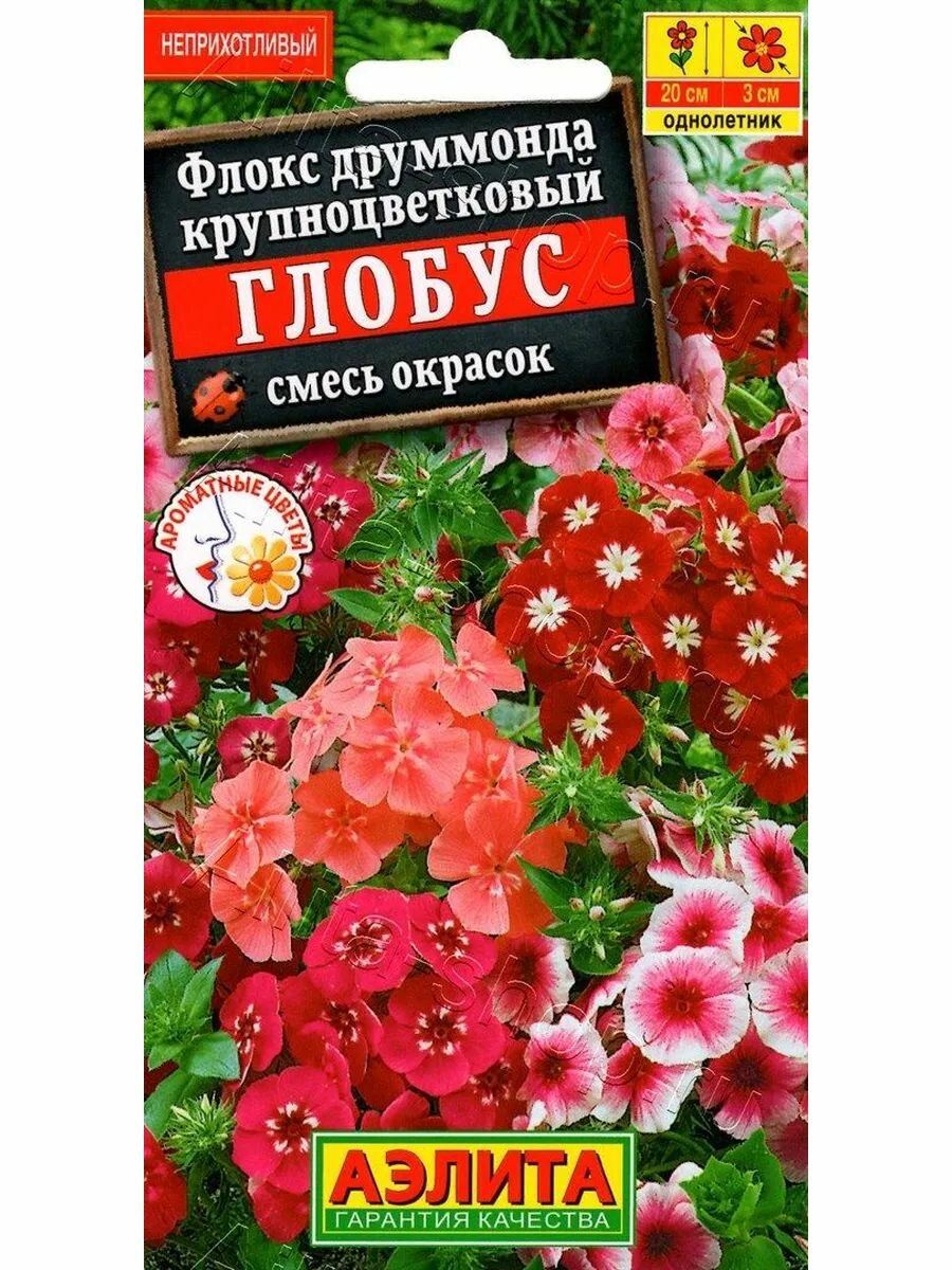 Семена "Флокс Глобус, смесь окрасок"